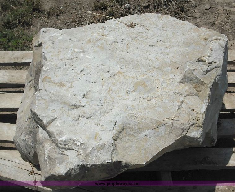Limestone boulder in New Braunfels, TX | Item 2150 sold | Purple Wave