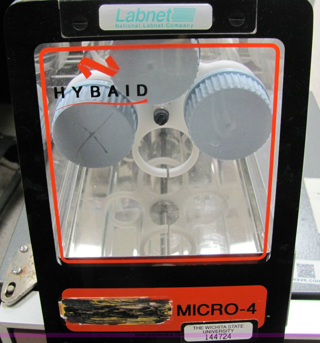 Labnet hybaid micro 4 hybridization chamber with three hybridization ...