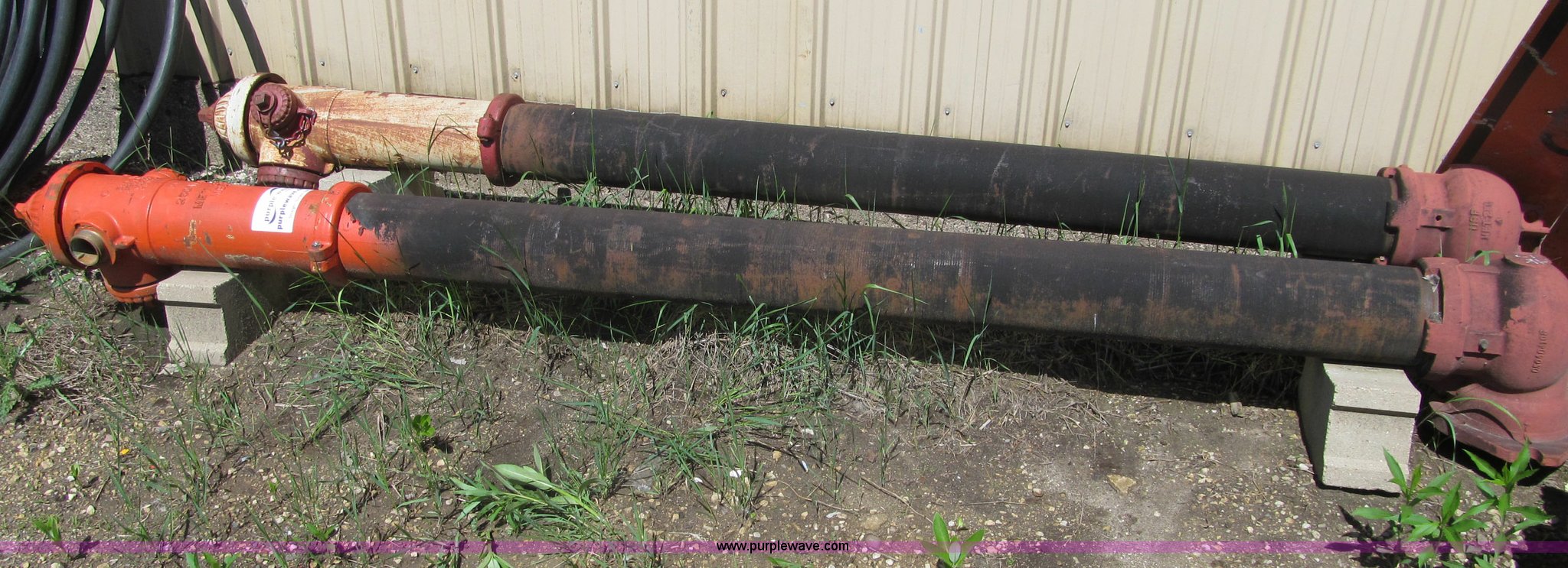 (2) fire hydrants in Winona, MN | Item G8695 sold | Purple Wave
