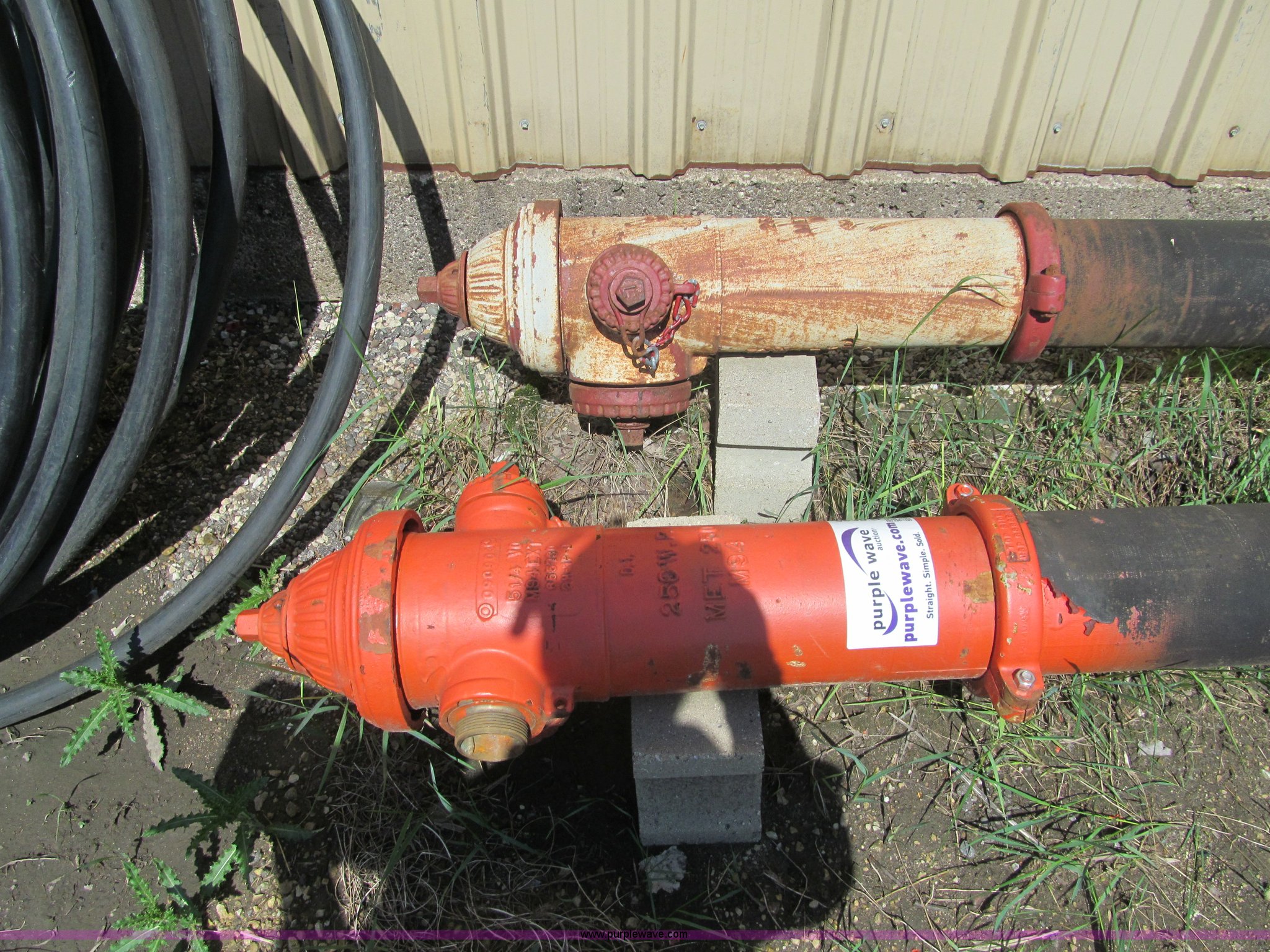 (2) fire hydrants in Winona, MN | Item G8695 sold | Purple Wave