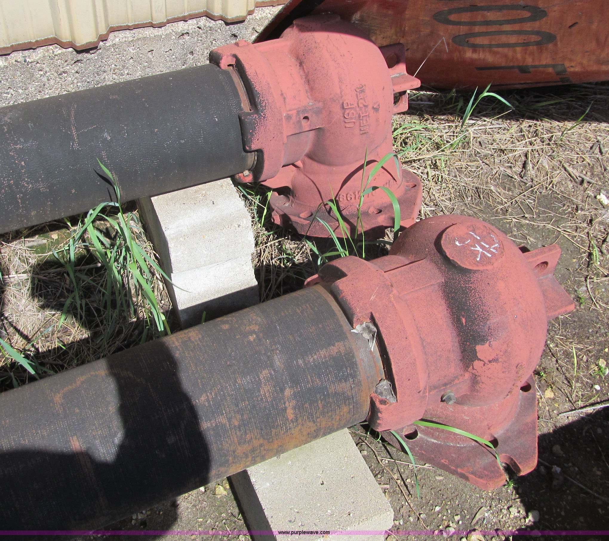 (2) fire hydrants in Winona, MN | Item G8695 sold | Purple Wave