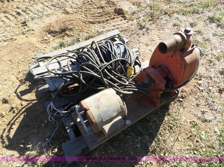 Jaeger 3XPEL3 electric water pump in Slayton, MN | Item BN9461 sold ...