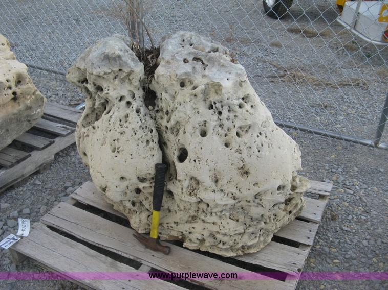 Holey limestone boulder in Wichita, KS | Item AL9444 sold | Purple Wave