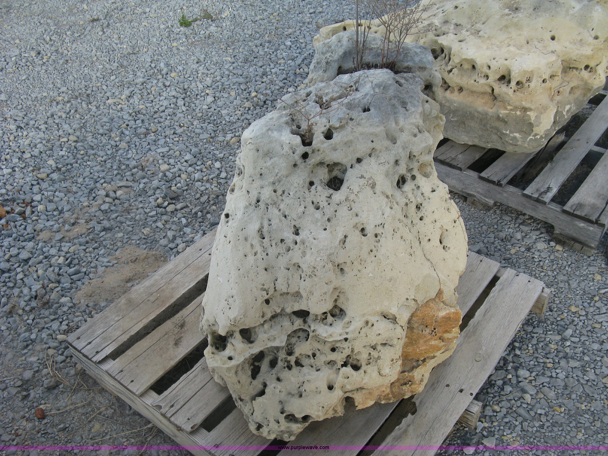 Holey limestone boulder in Wichita, KS | Item AL9444 sold | Purple Wave