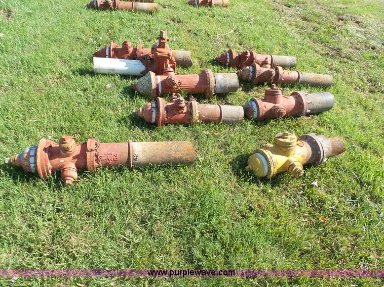 (8) fire hydrants in Richmond, KS | Item K5452 sold | Purple Wave