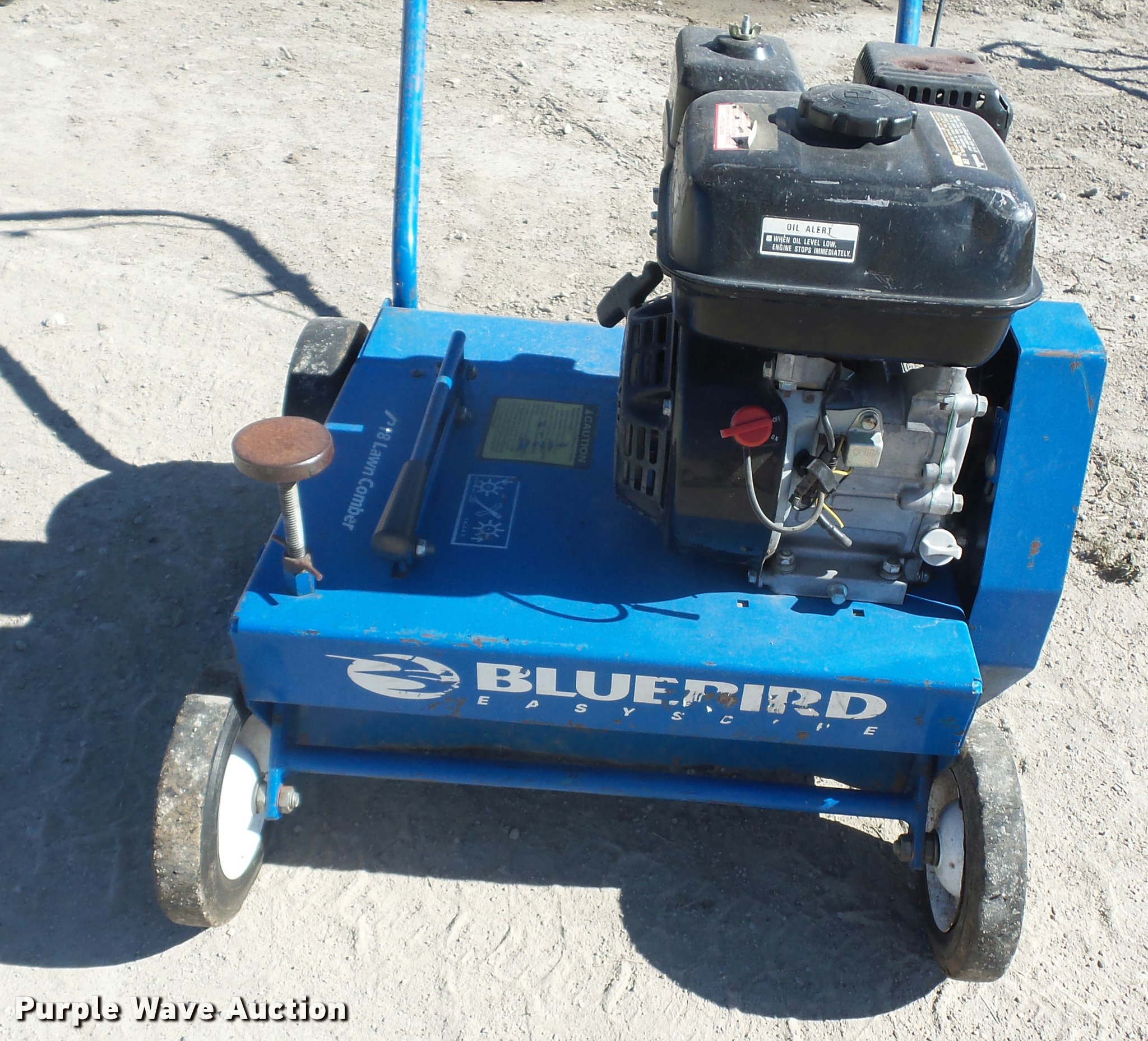 Blue Bird P18 lawn comber in Kansas City, MO | Item DA4030 sold ...