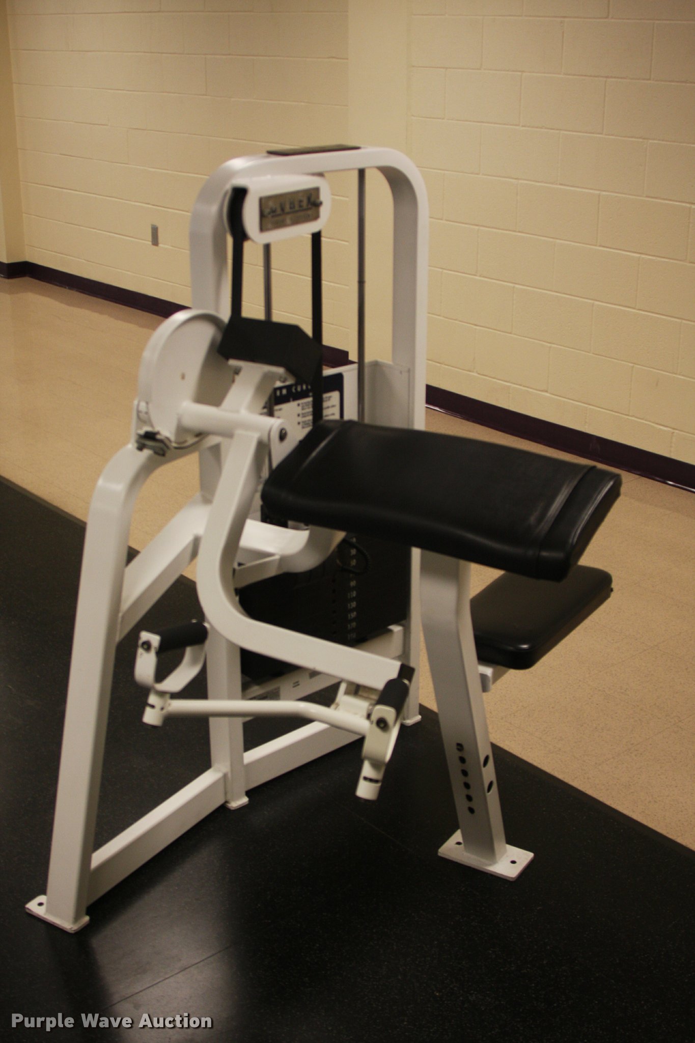 Cybex arm curl in Manhattan, KS | Item G1186 sold | Purple Wave