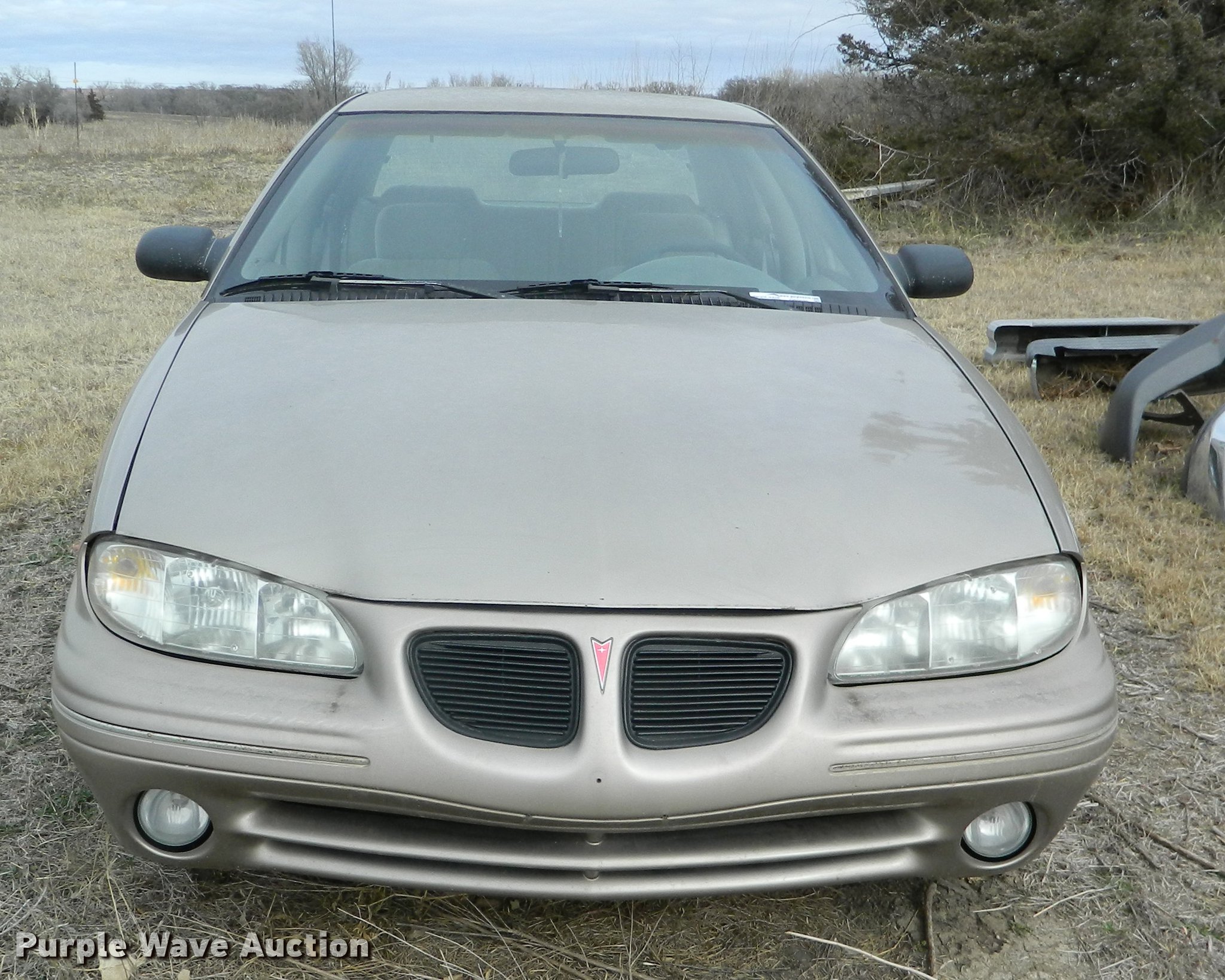 1996 Pontiac Grand AM in Paradise, KS | Item DB9970 sold | Purple Wave