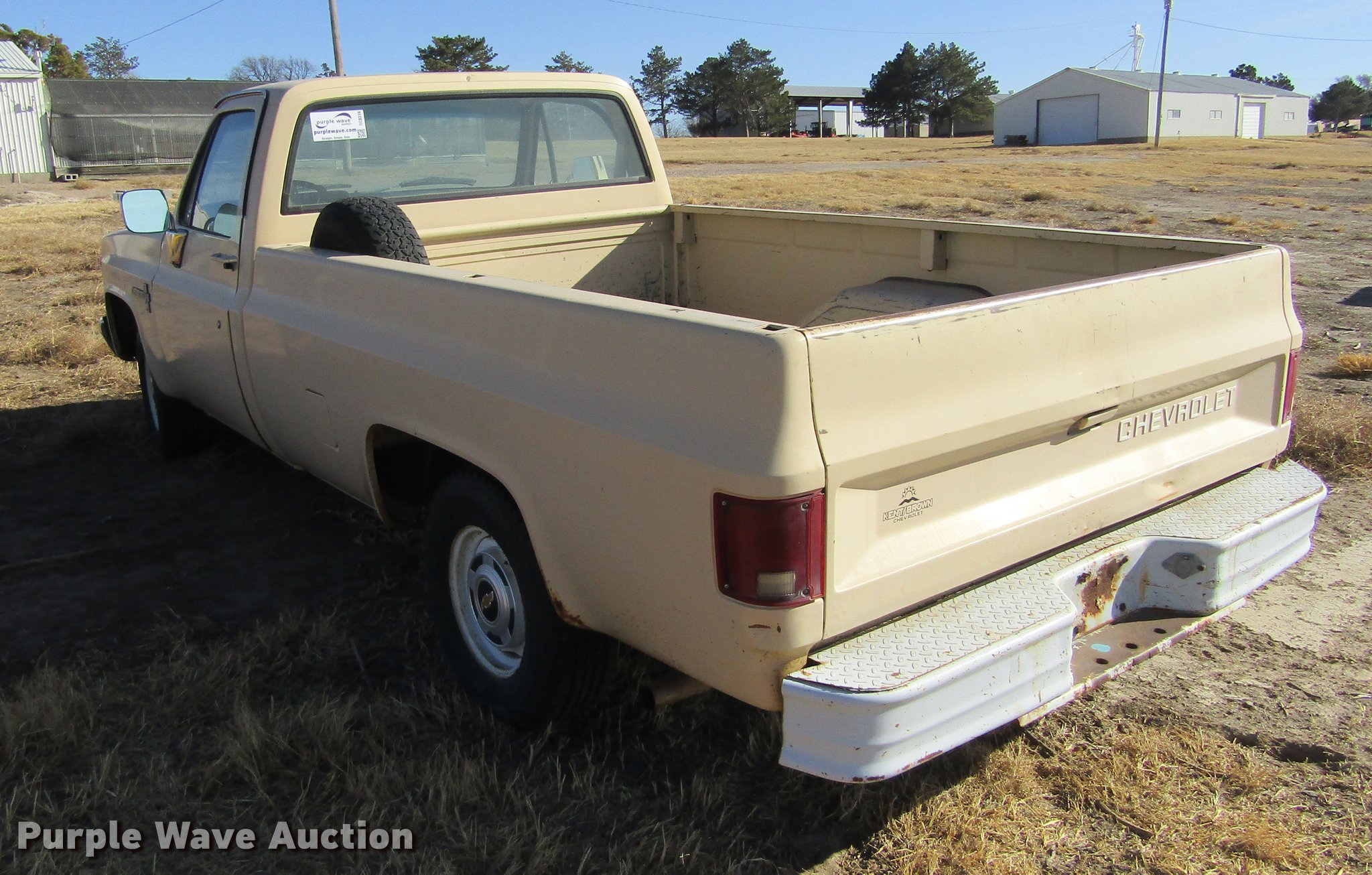 1983 Chevrolet Custom Deluxe 10 pickup truck in Garden City, KS | Item ...