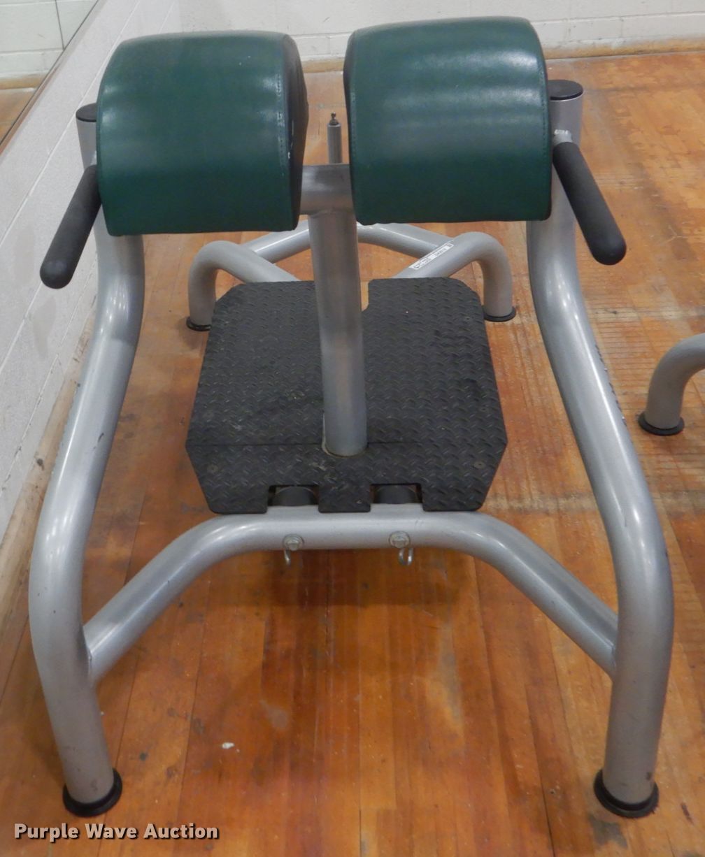 Gluteal and hamstring machine in Des Moines, IA | Item GA9019 sold ...