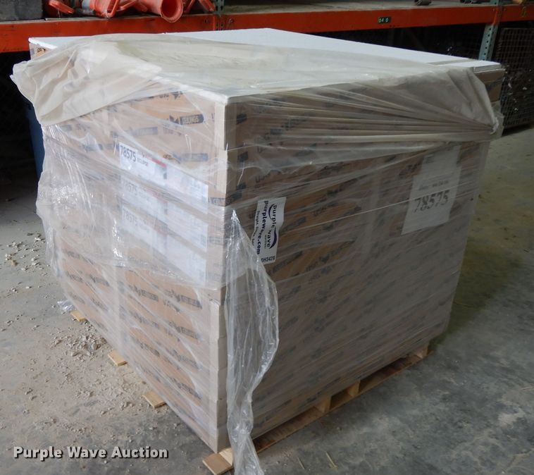 USG Eclipse ceiling tile in Burlington, KS | Item DH3429 sold | Purple Wave