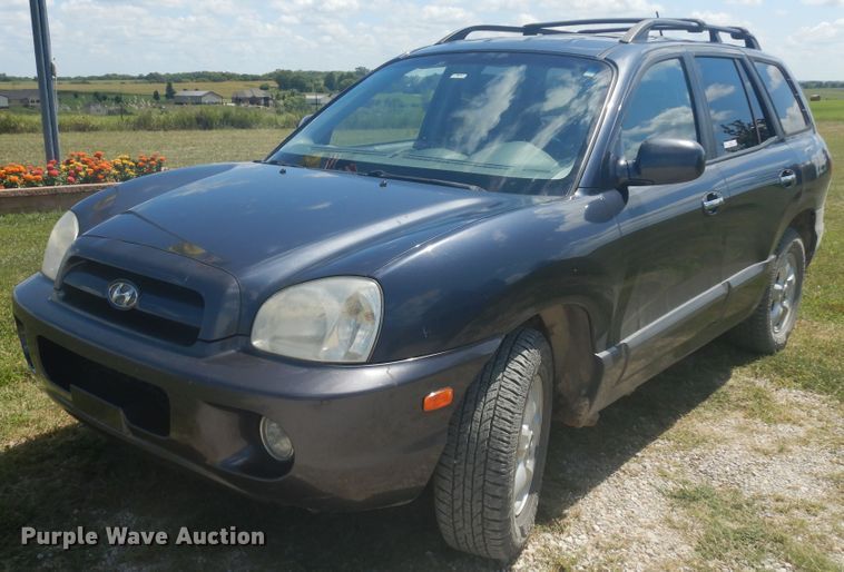 2006 Hyundai Santa Fe Limited SUV in Silver Lake, KS | Item KU9347 sold ...