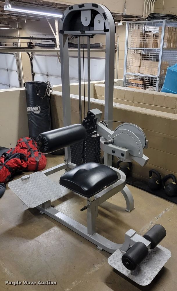 Pro Maxima Performance Plus abdominal/lower back machine in Olathe, KS ...