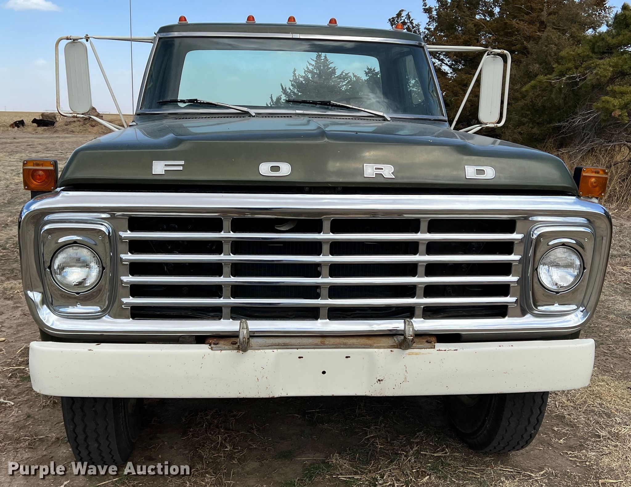 1975 Ford F600 pickup truck cab and chassis in Ingalls, KS | Item ...