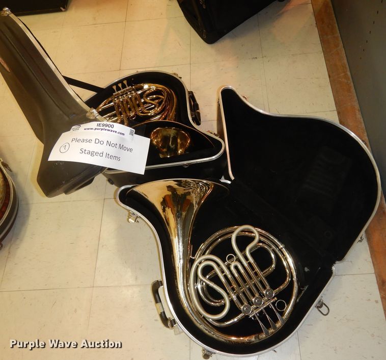 (2) horns in Overland Park, KS | Item IE9900 sold | Purple Wave