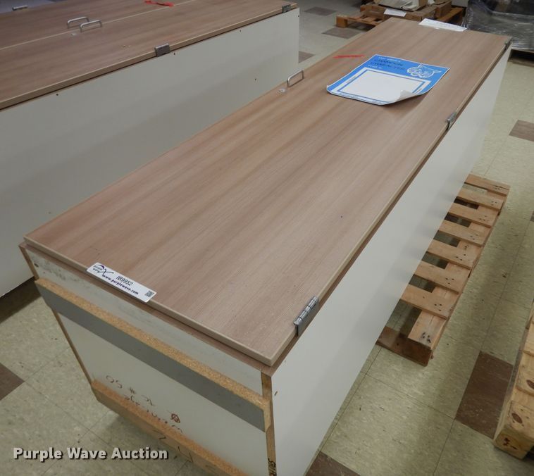 (2) cabinets in Overland Park, KS | Item IB9952 sold | Purple Wave