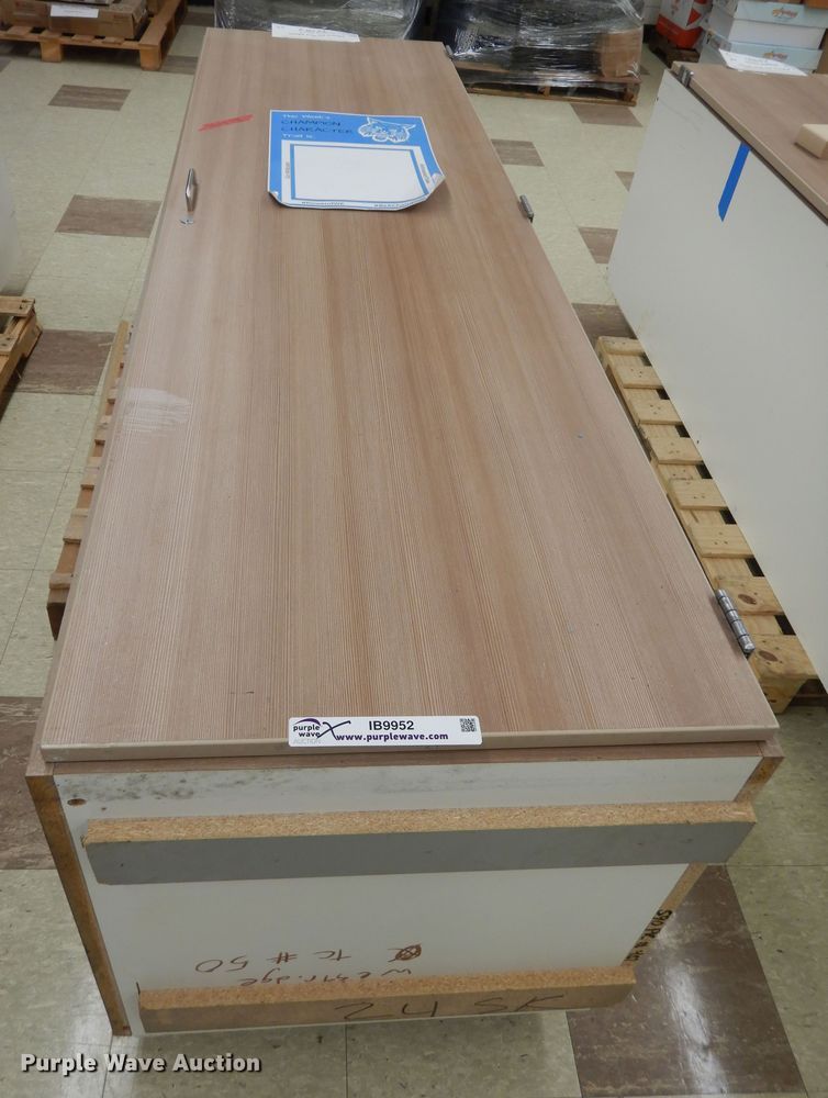 (2) cabinets in Overland Park, KS | Item IB9952 sold | Purple Wave