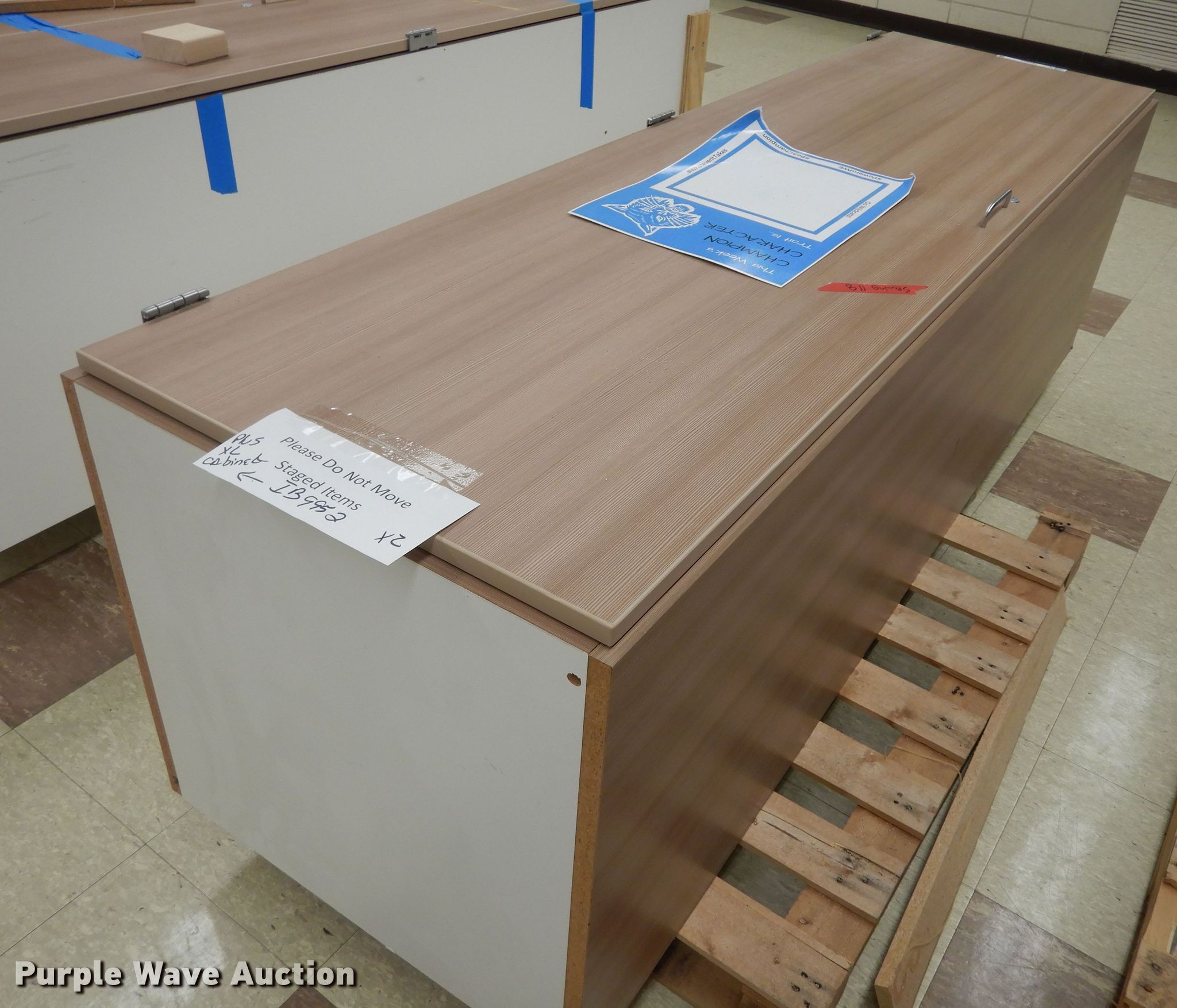 (2) cabinets in Overland Park, KS | Item IB9952 sold | Purple Wave