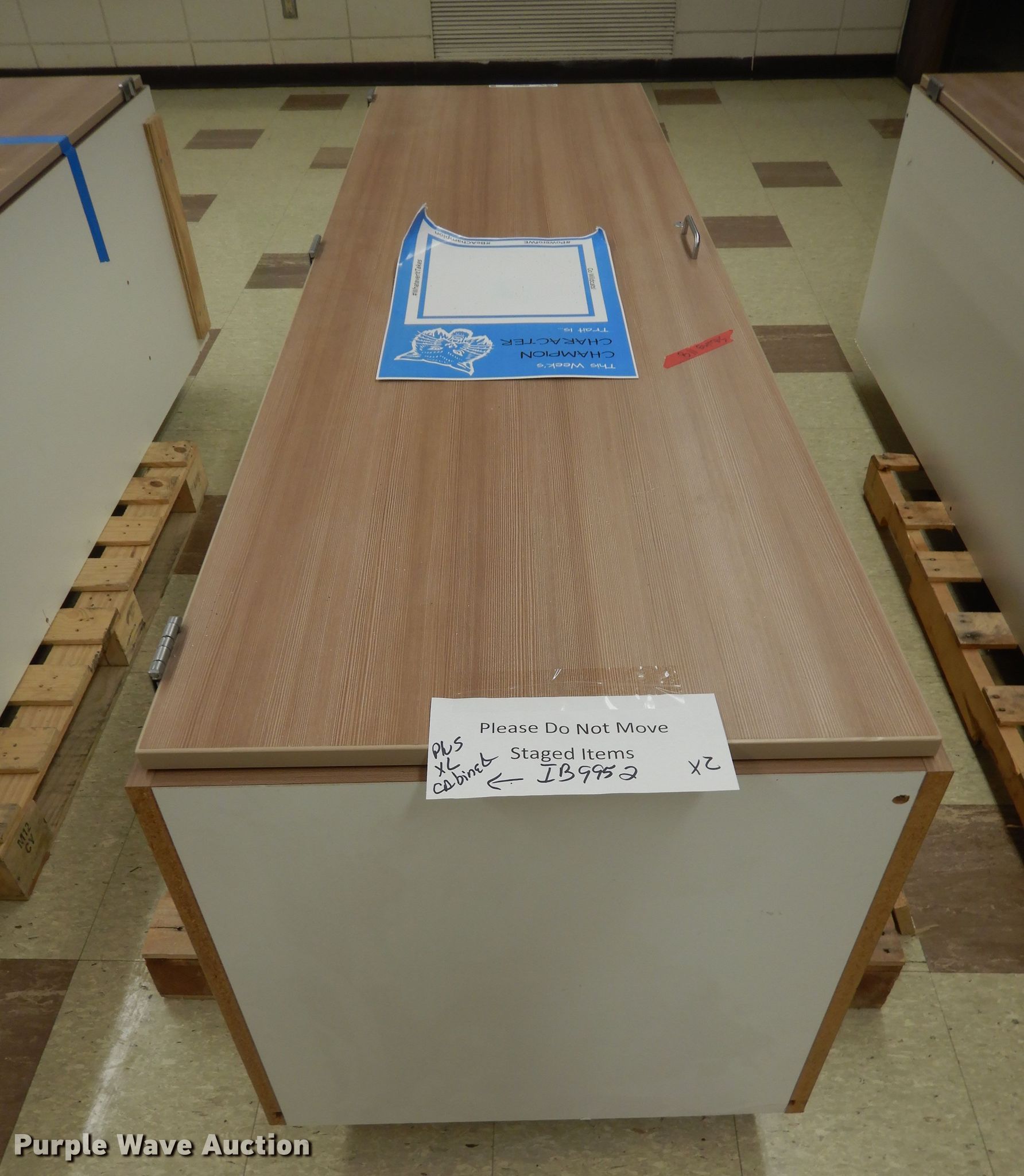 (2) cabinets in Overland Park, KS | Item IB9952 sold | Purple Wave