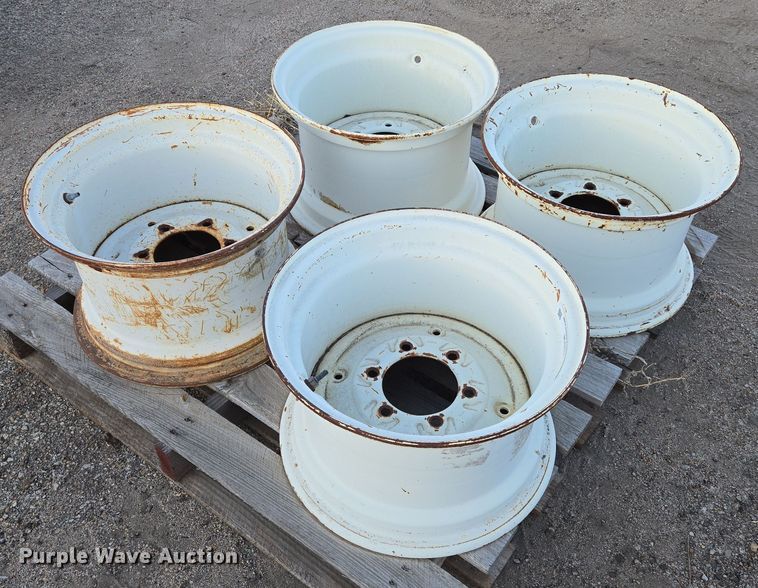 (4) Denmark W10Lx16 wheels in Hutchinson, KS | Item EN8736 sold ...