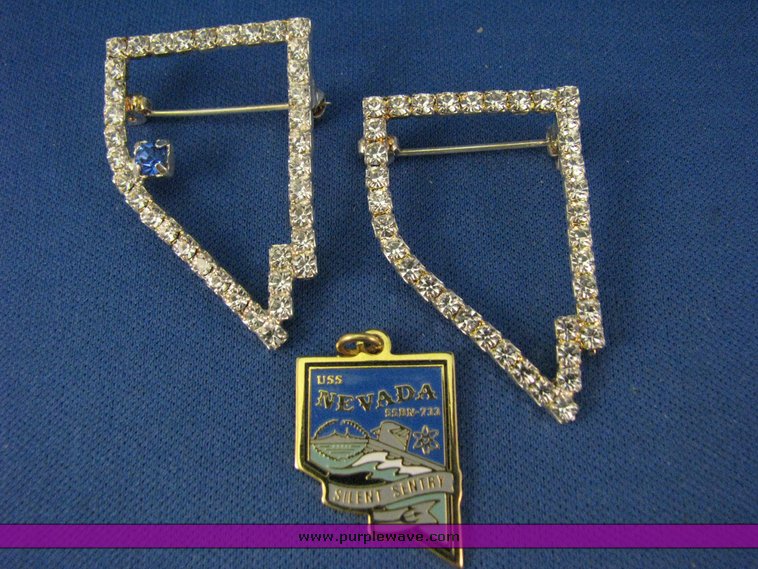 (2) Nevada lapel pins in Carson City, NV | Item 3212 sold | Purple Wave